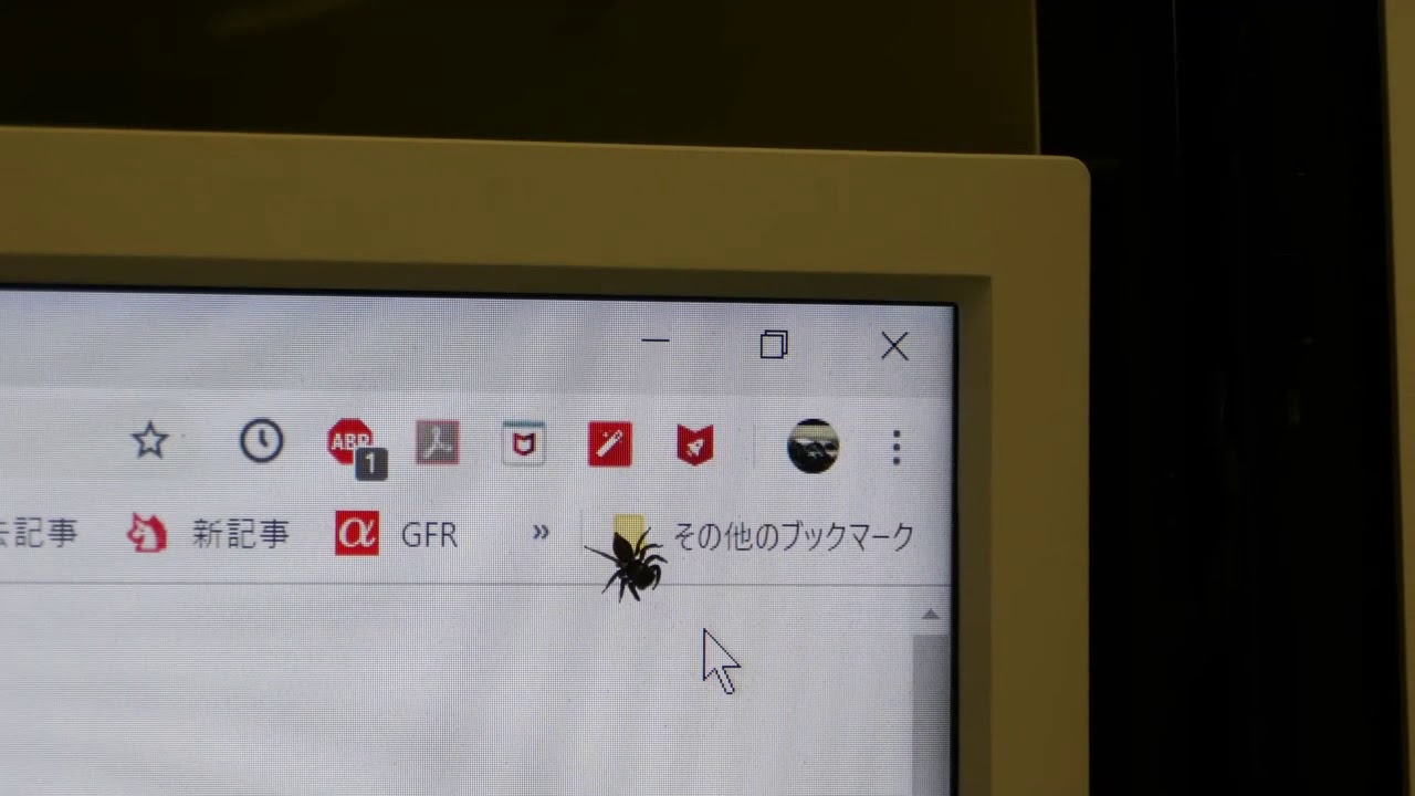 a spider plays with mouse pointer - YouTube