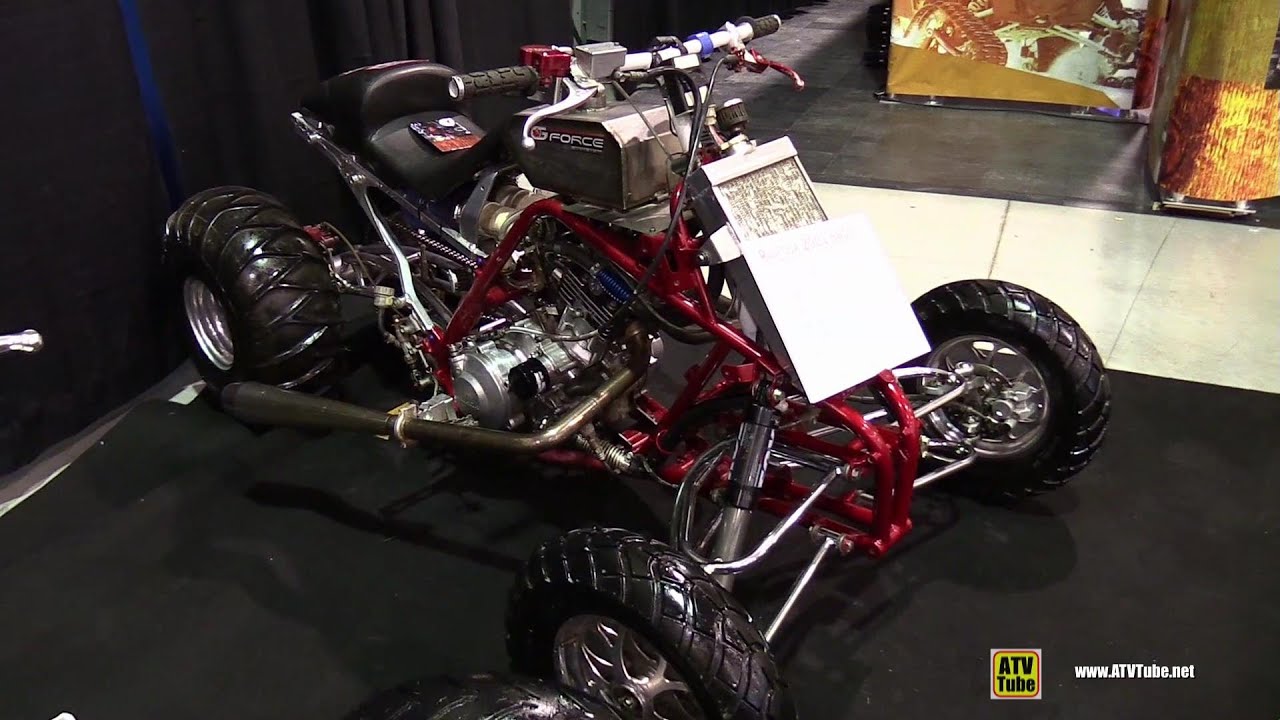 2001 Yamaha Raptor 660 Custom ATV - Walkaround - 2014 St Hyacinthe ATV ...