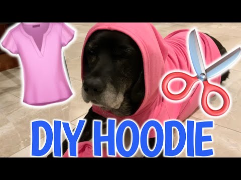 DIY DOG HOODIE AND CHEW TOY | Wacky Winnie