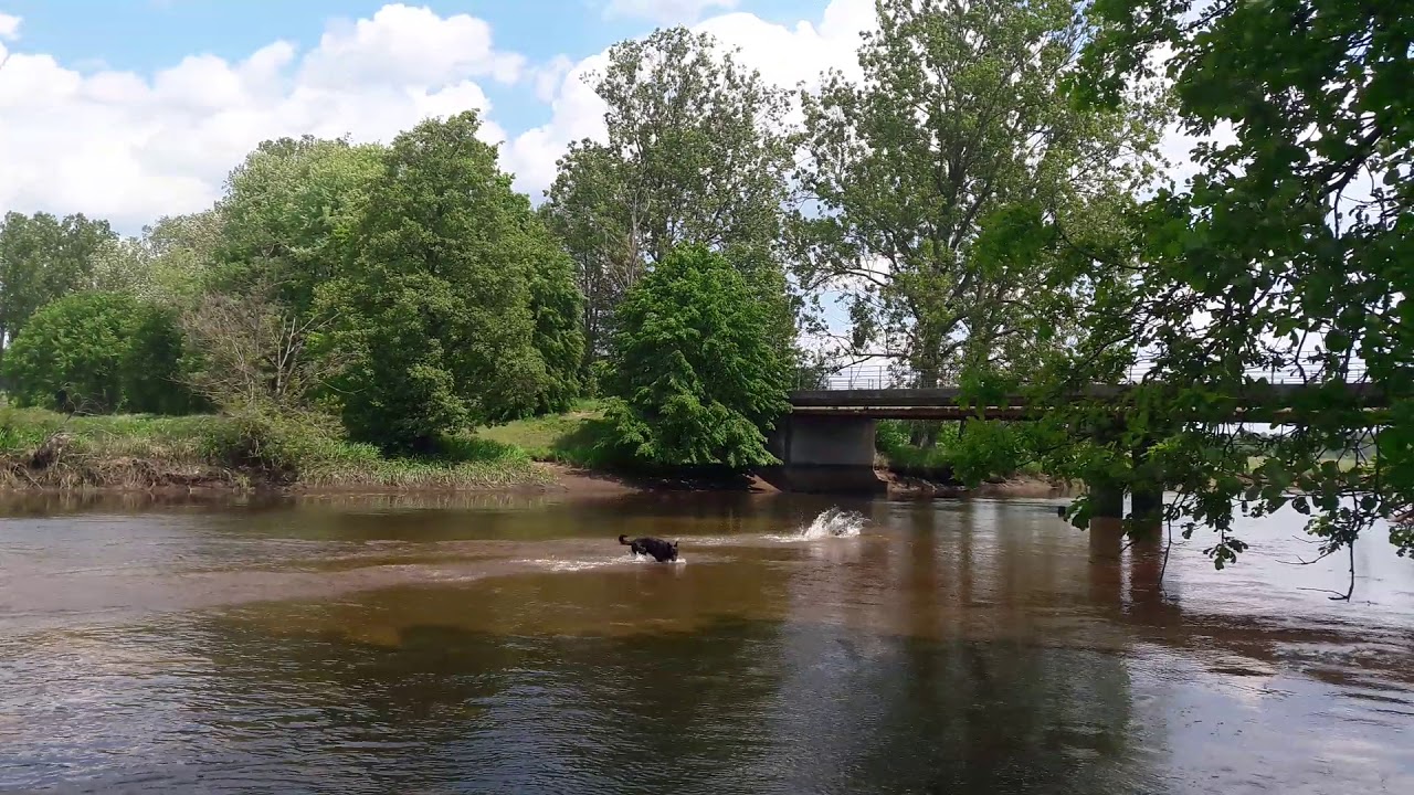 29 maja 2019 - YouTube