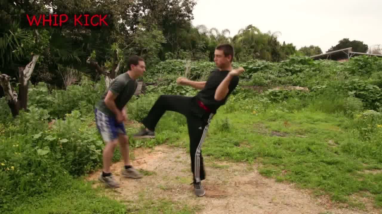 Krav Maga Techniques-Whipping kick - YouTube
