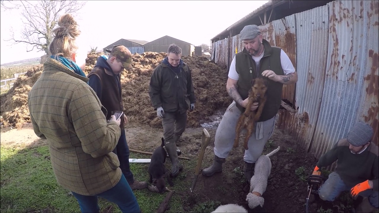 Ratting 26 March 2017 - YouTube