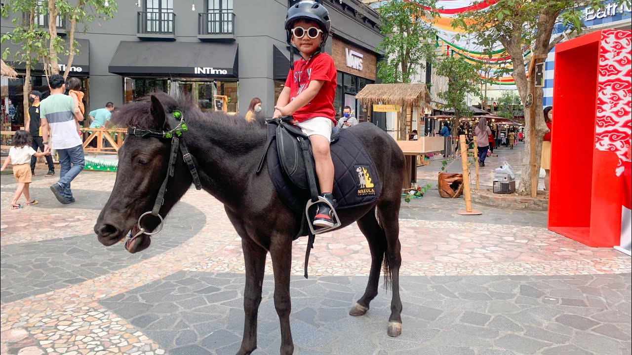 NAIK KUDA PONI DI MALL PVJ BANDUNG - YouTube