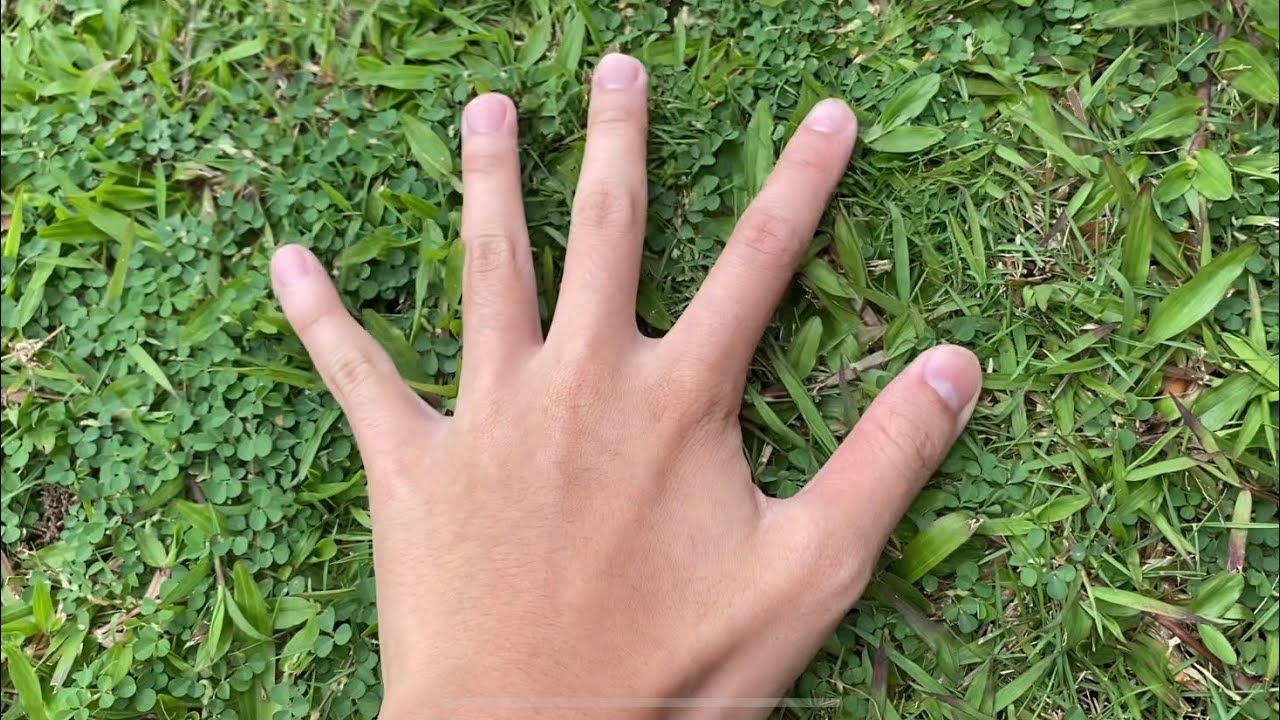 Touching grass - YouTube