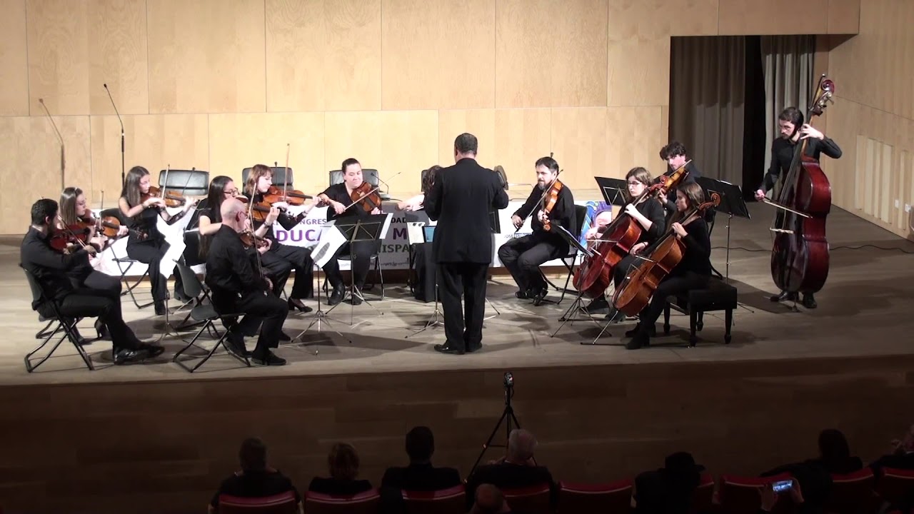 Palladio (I Allegretto), K. Jenkins - YouTube