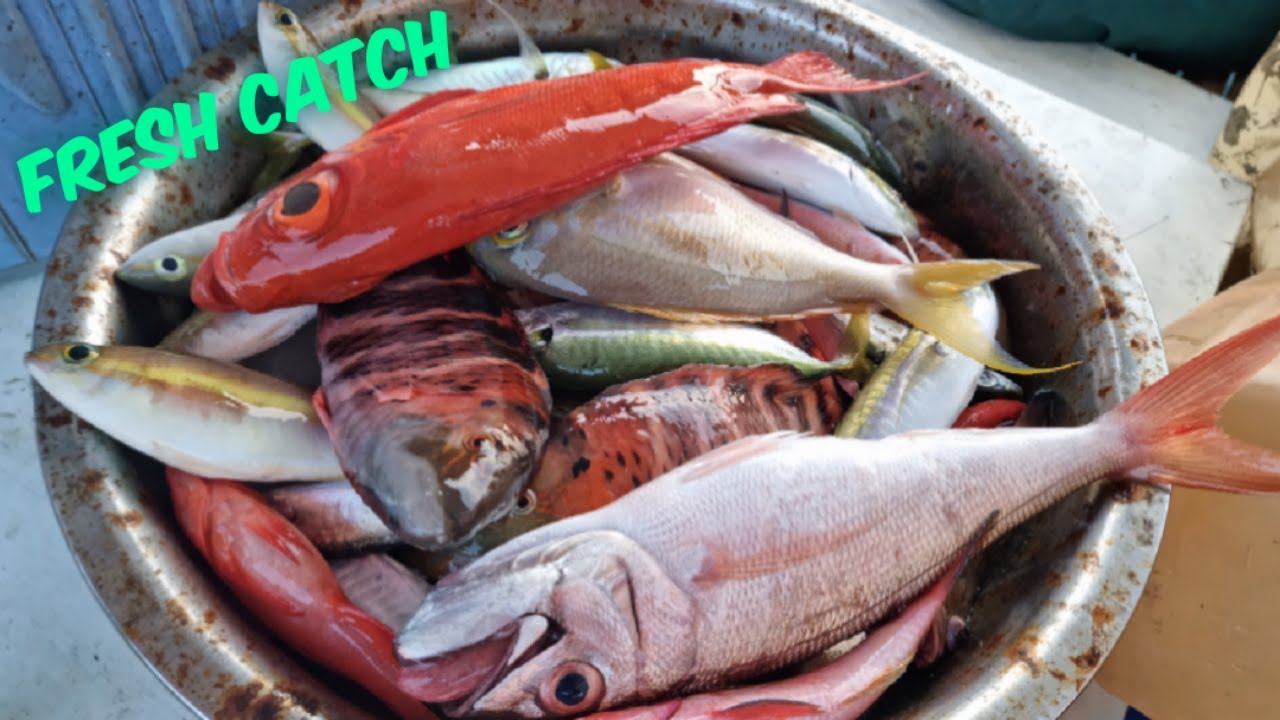 dami naming huli (catch lots of fish today) - YouTube