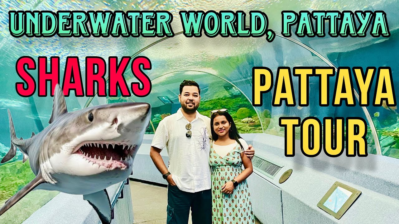SHARKS IN PATTAYA | UNDERWATER WORLD, PATTAYA | PATTAYA TOUR | THAILAND ...