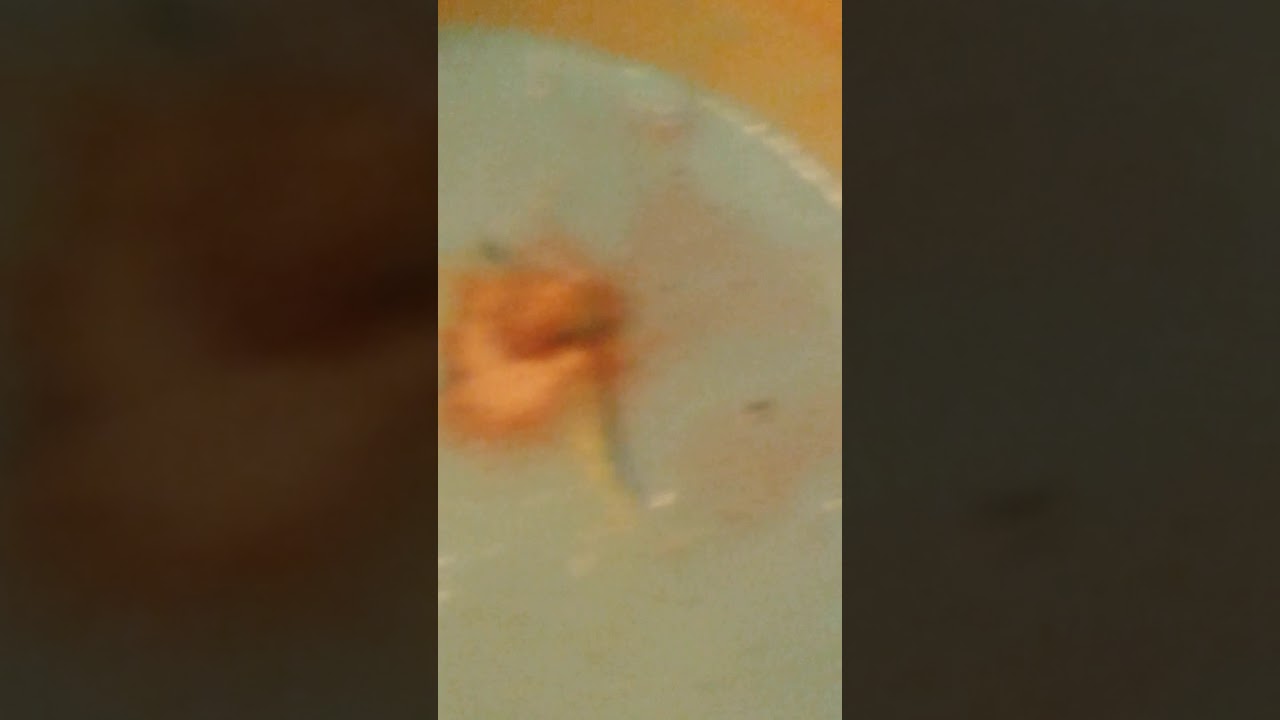 How to melt slime - YouTube