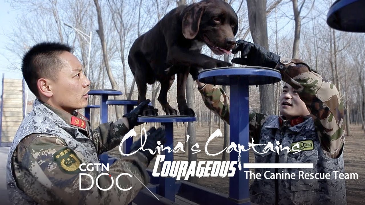 China's Captains Courageous: The Canine Rescue Team - YouTube