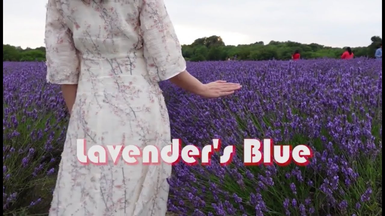 Lavender's Blue - YouTube Music