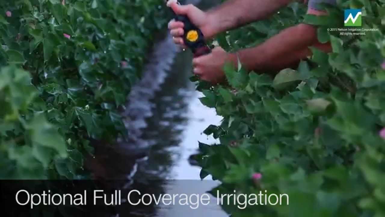 Nelson D3030 LEPA Bubbler Irrigating Texas Cotton - YouTube