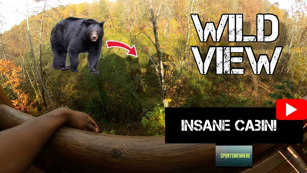 INSANE Luxury Cabin in the Smoky Mountains! Heated Pool, Arcade, & Epic ...
