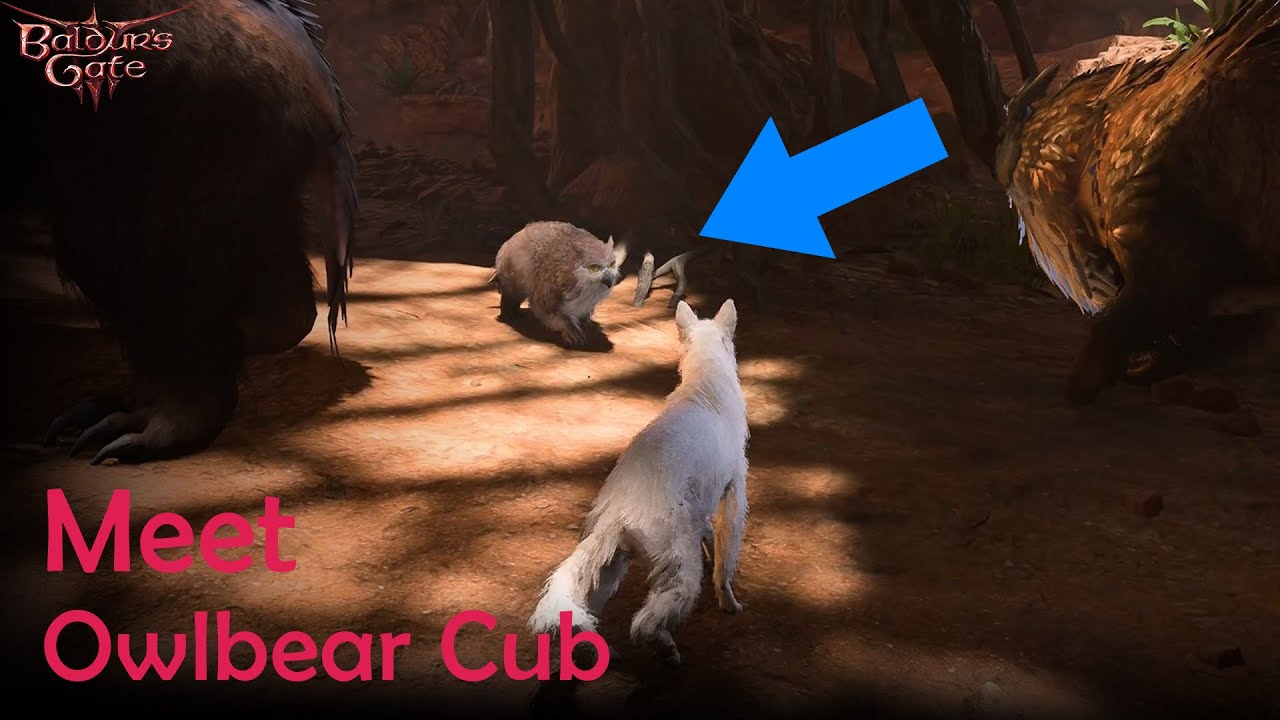 BG3: What if you send Scratch to meet Owlbear Cub? - YouTube
