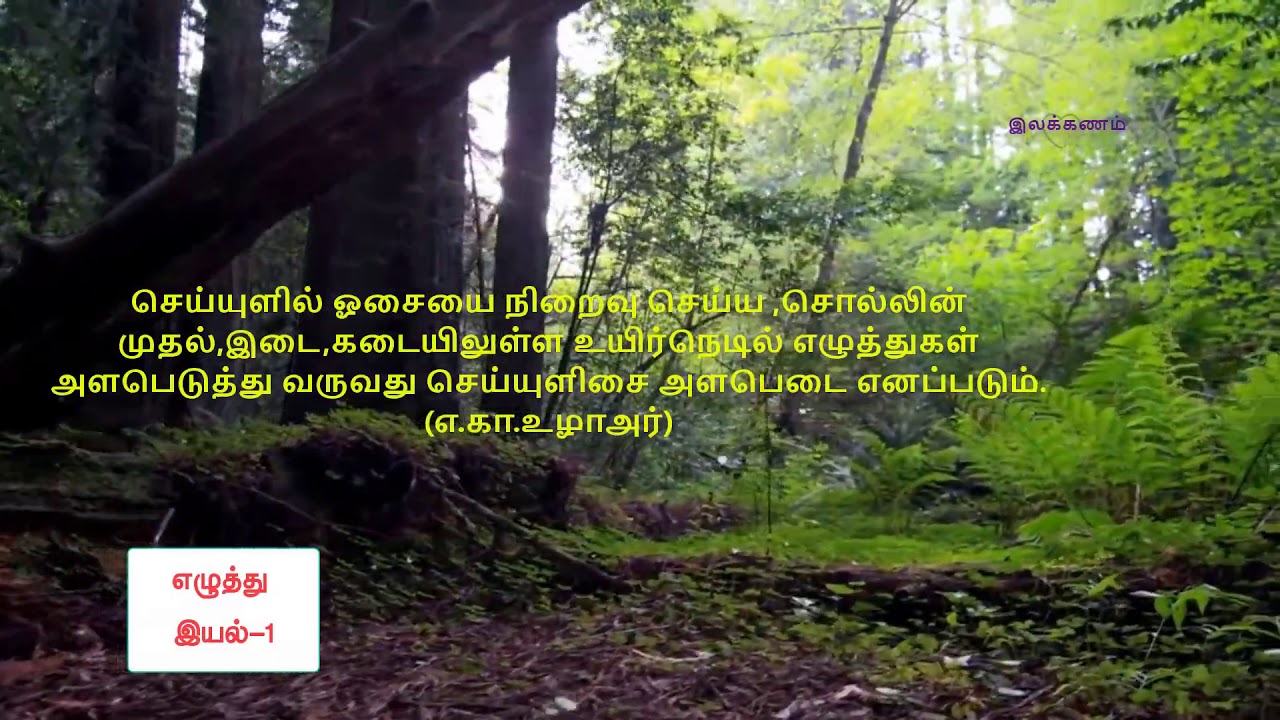 1.5 Eluthu, Sol - Tamil 10th State Board | Kalvisolai | Diksha - YouTube