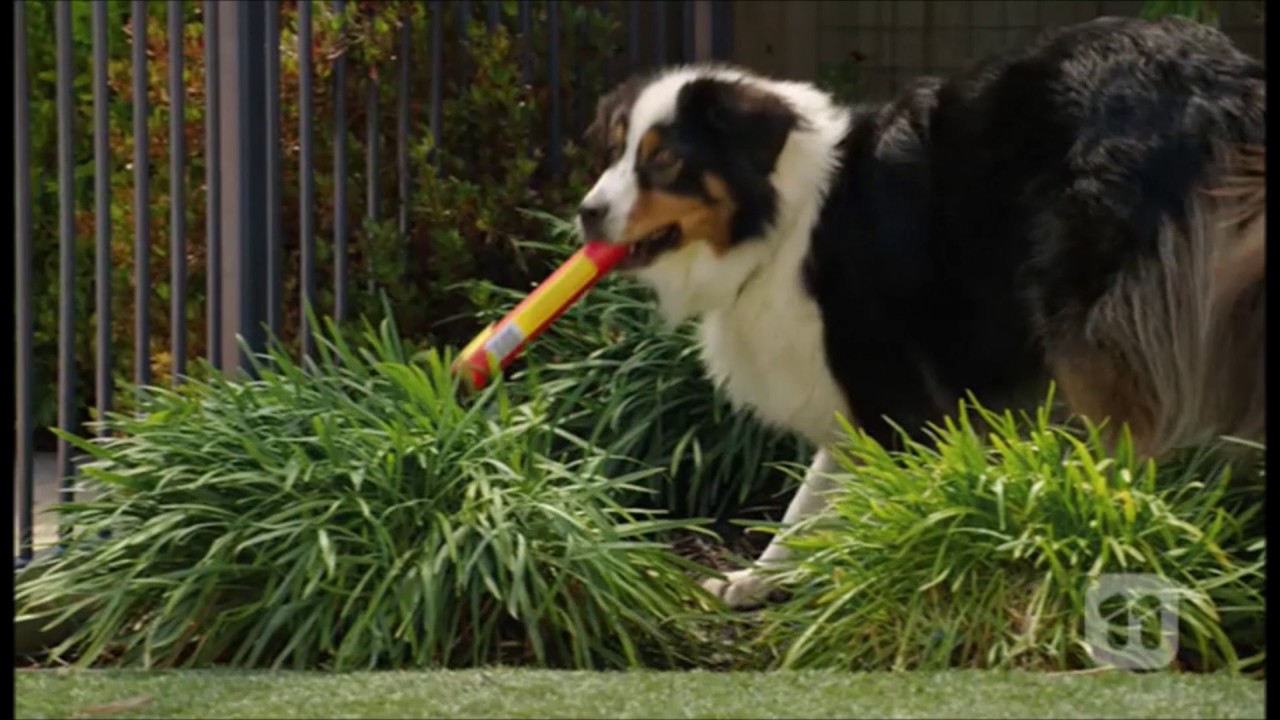 [Neighbours] 7597 Jarrod & Nell & Clancy Scene - YouTube