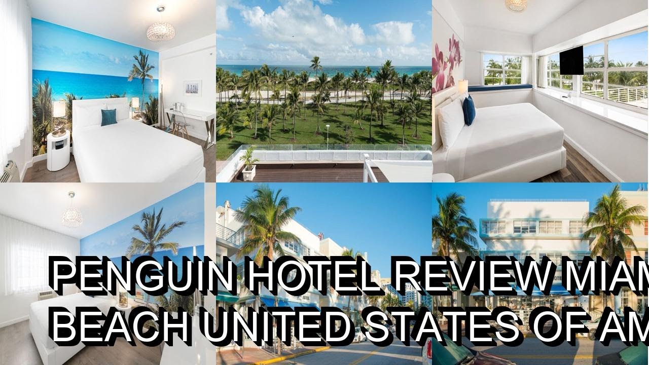 Penguin Hotel Review Miami Beach United States of America - YouTube