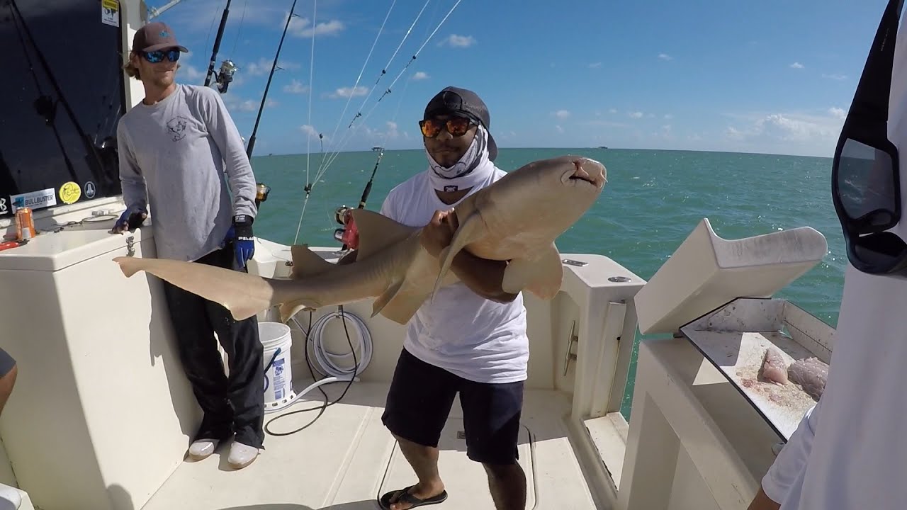 First Ever SHARK Fishing trip!!! (ft. Monster Mike & BlacktipH) Miami ...