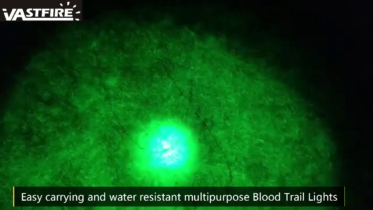 Deer Hunting Blood Light at William Rohde blog