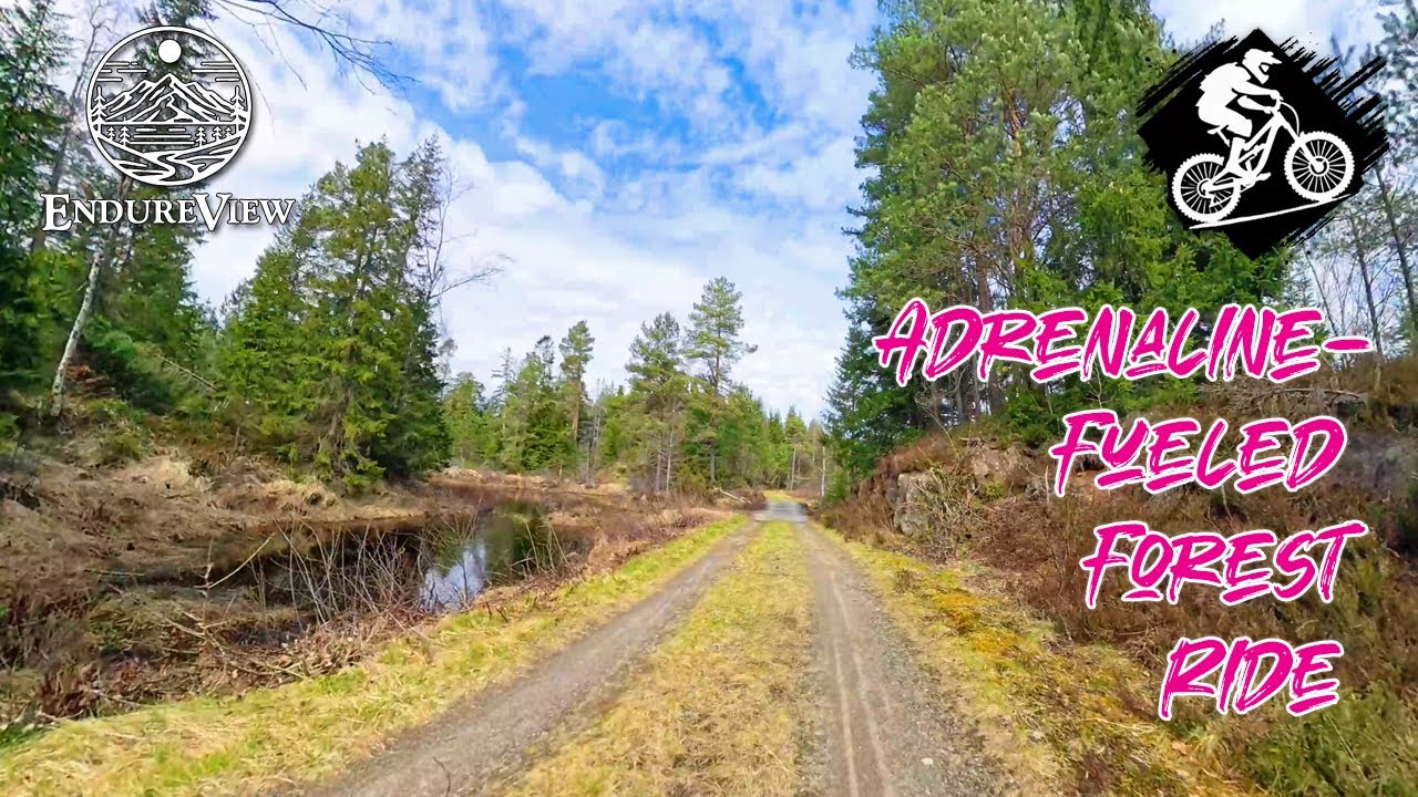 Virtual Biking | Adrenaline-Fueled Forest Ride - Hardtail Through Harsh ...