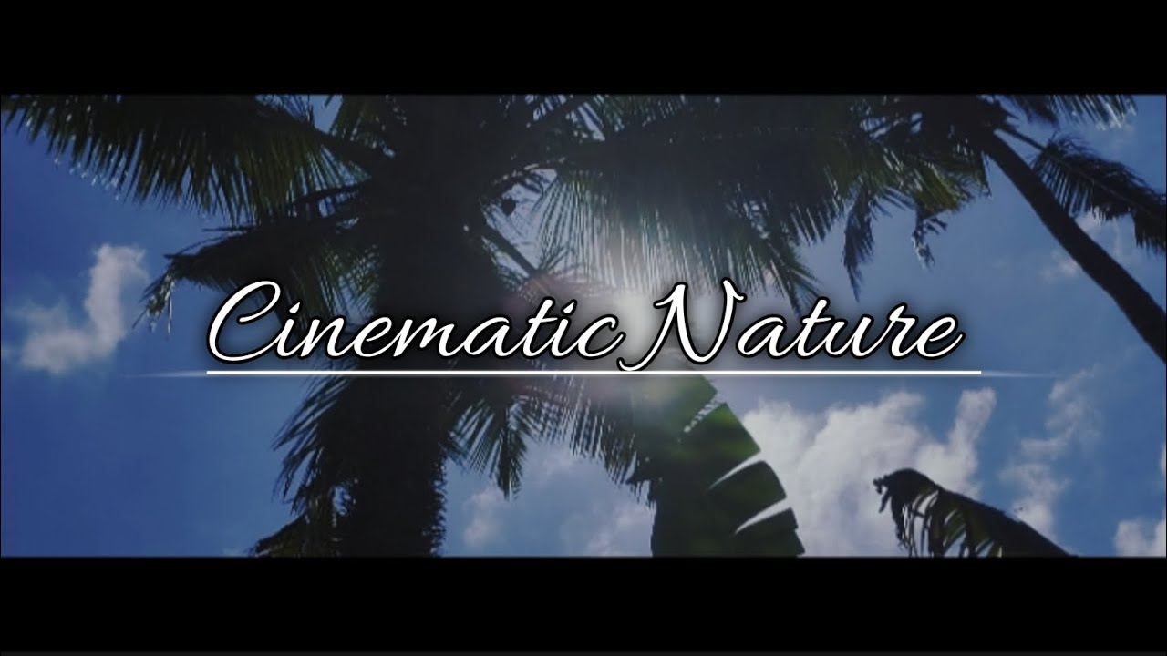 Cinematic Nature | Behind The Cam | ( Redmi 10C ) - BTC Official - YouTube