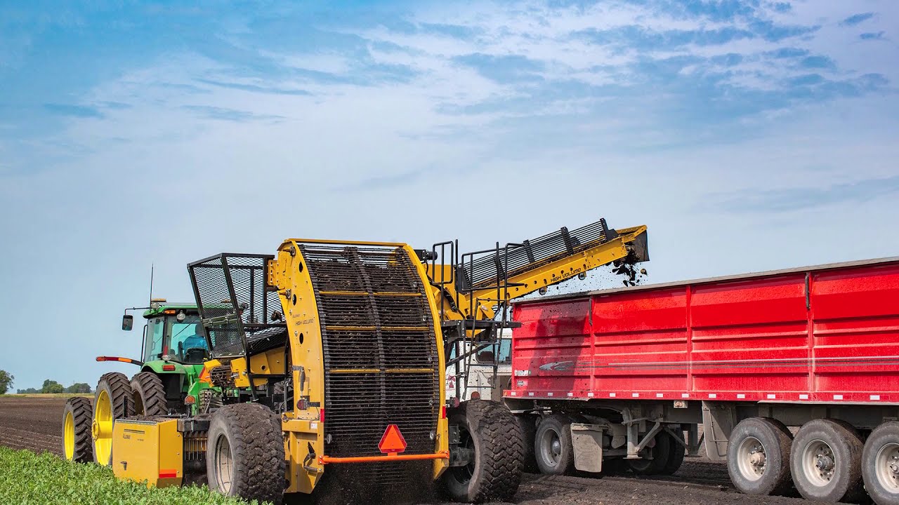Alloway HV 8R22 Sugarbeet Harvester - YouTube
