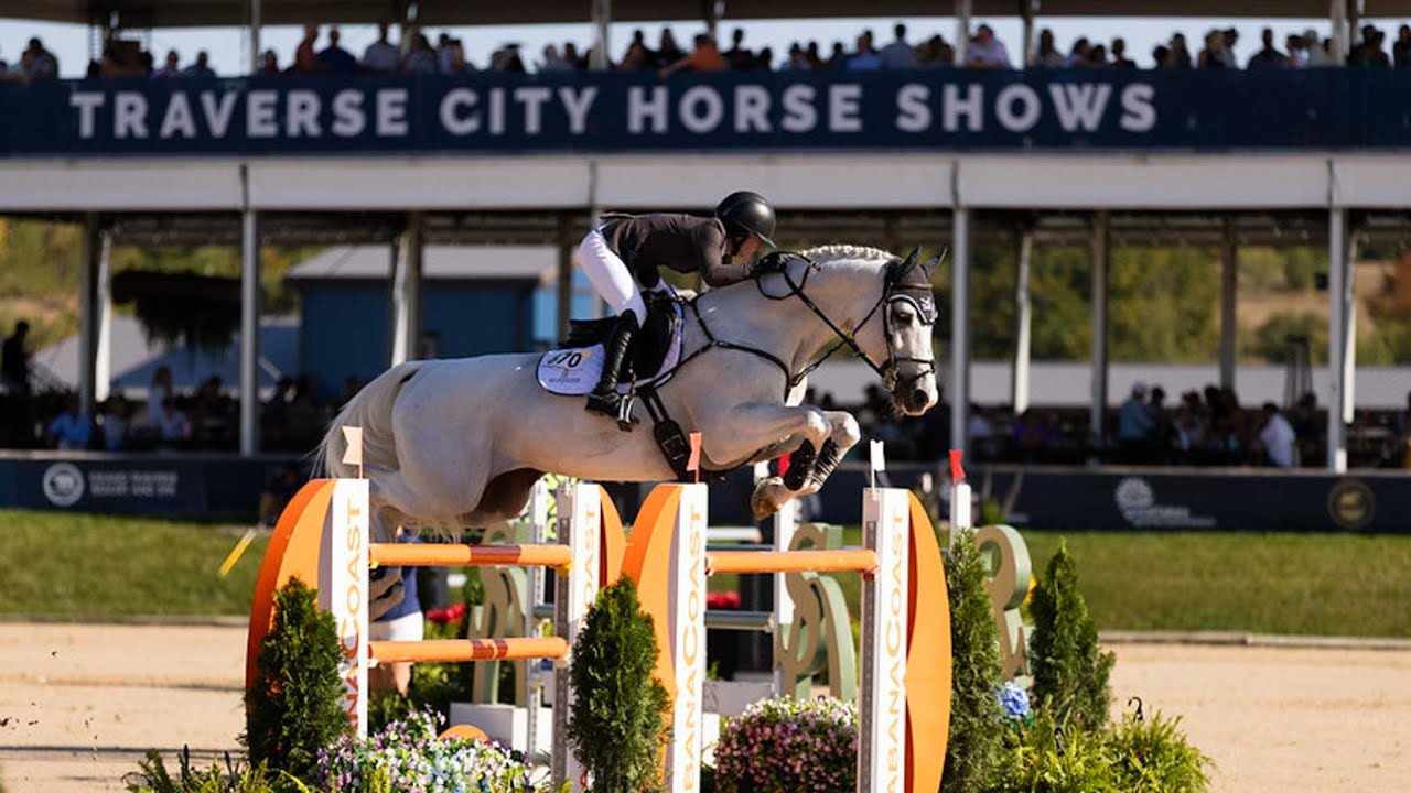 Welcome To Traverse City Horse Shows - YouTube
