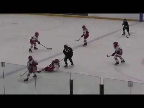 Kitchener Lady Rangers vs North Halton Twisters Jan 17, 2020 -Period 3 ...