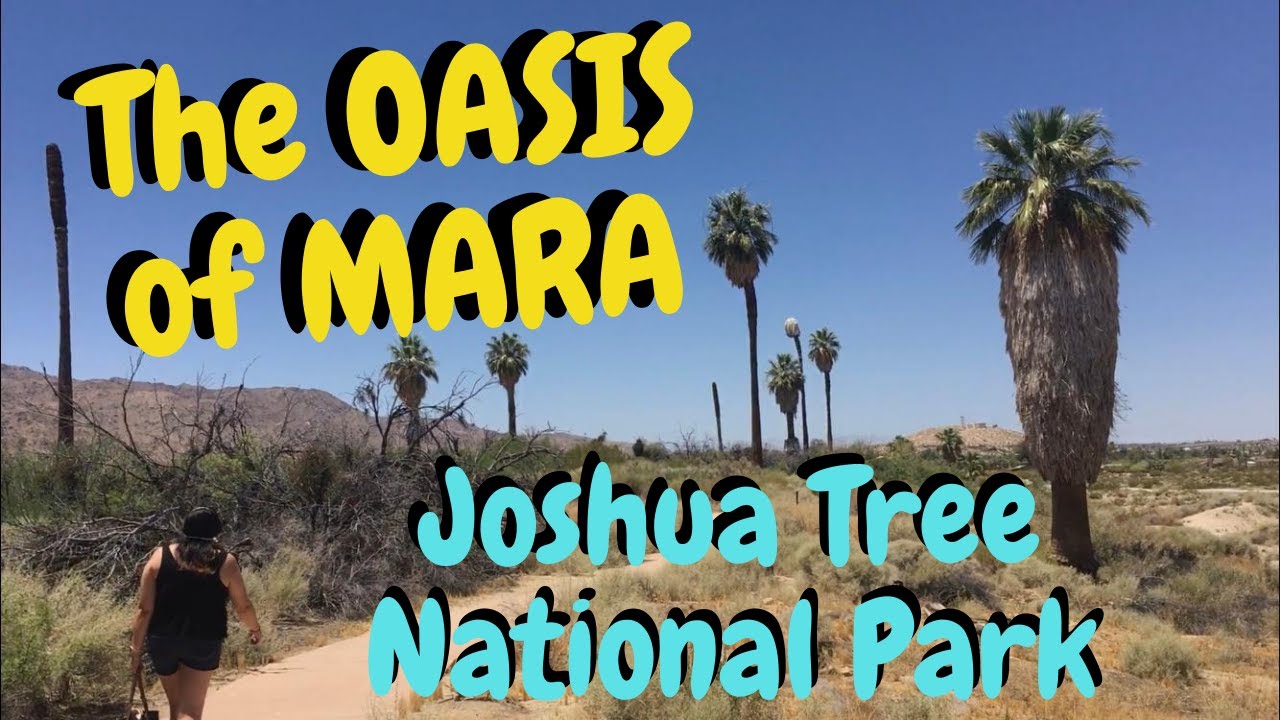 Oasis of Mara - (29P.2/4) - YouTube