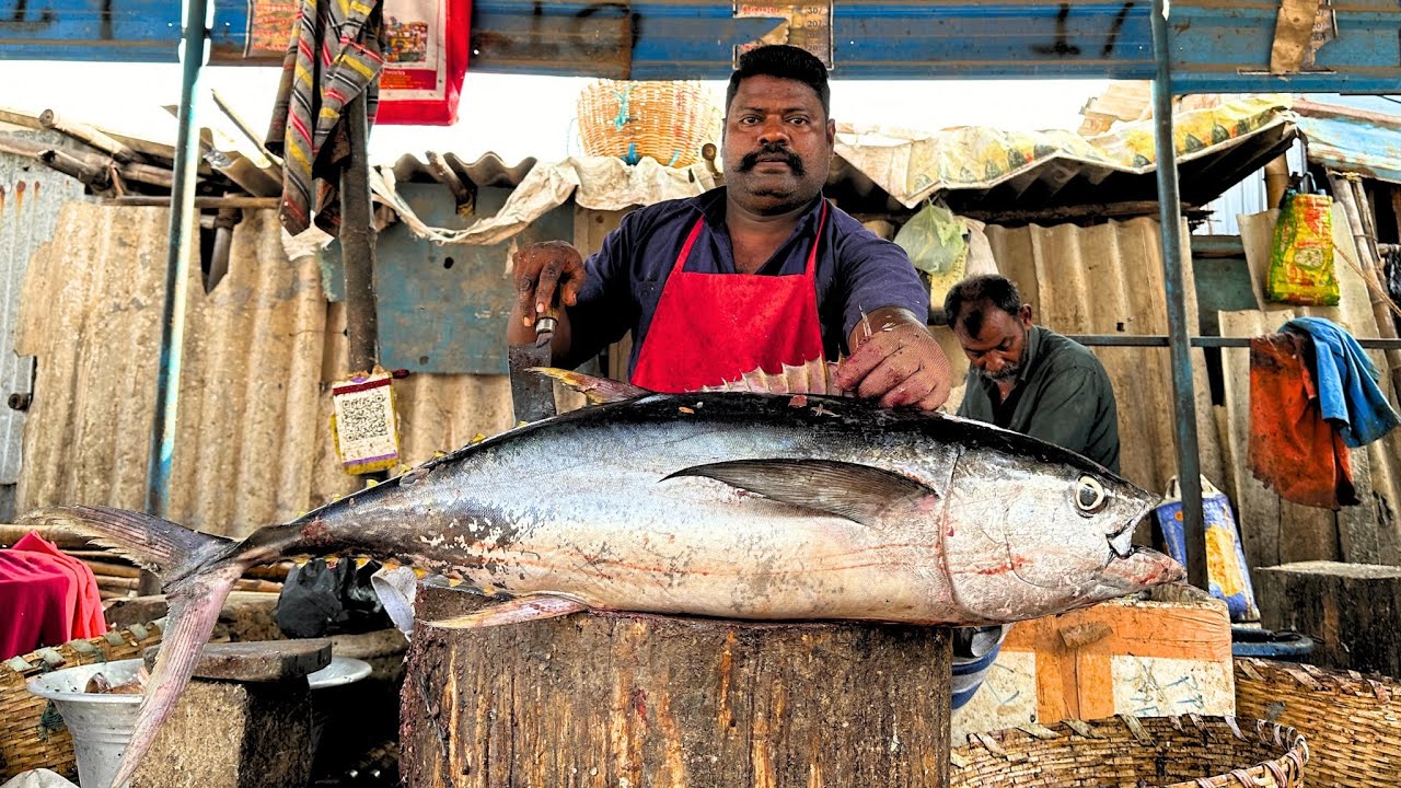KASIMEDU🔥SPEED SELVAM BIG😱TUNA FISH CUTTING VIDEO | TUNA PROTEIN FOOD ...