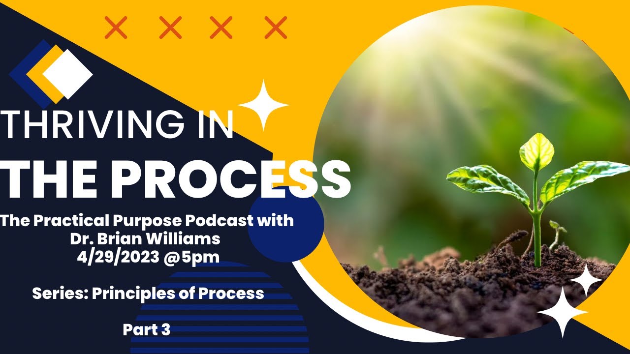 The Practical Purpose Podcast with Dr. Brian Williams ( Thriving in the ...