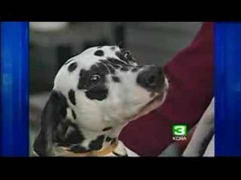 Bob Barker Promotes Mandatory Spaying, Neutering Of Pets - YouTube