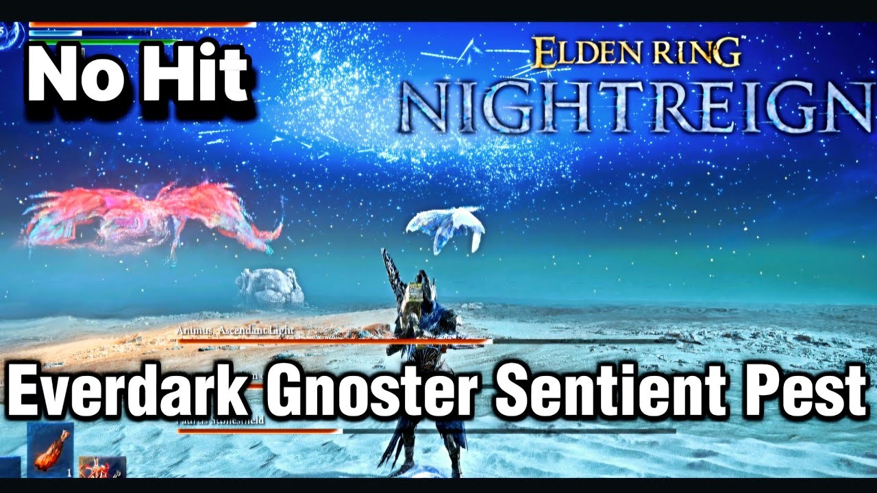 Everdark Sovereign Gnoster Sentient Pest No Damage Solo - Elden Ring ...