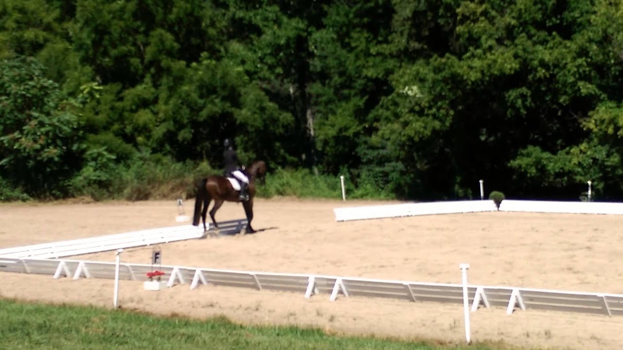 Molly Laird Dressage - River Glen Summer HT - YouTube