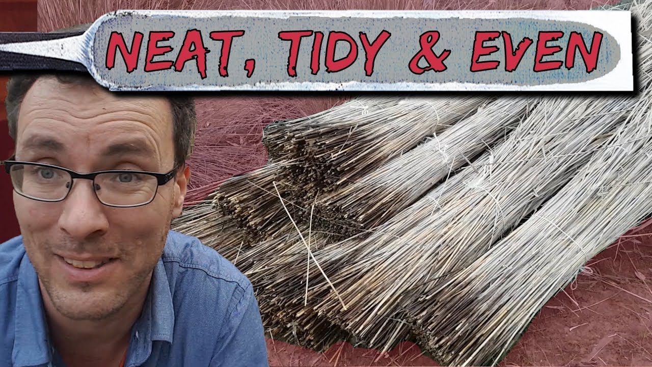 How to harvest reed: tips and tricks. - YouTube