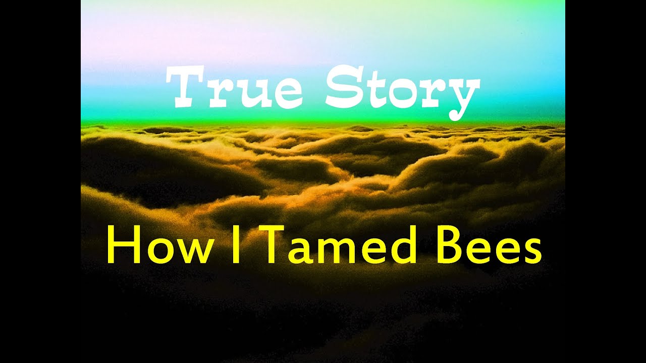 How I Tamed Bees - a true story - YouTube