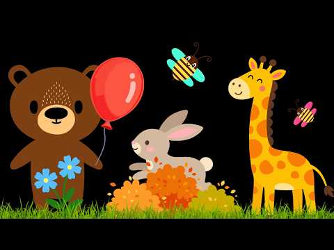 Baby Sensory Video - High contrast - Sensory Videos for Babies - Visual Stimulation for Newborn