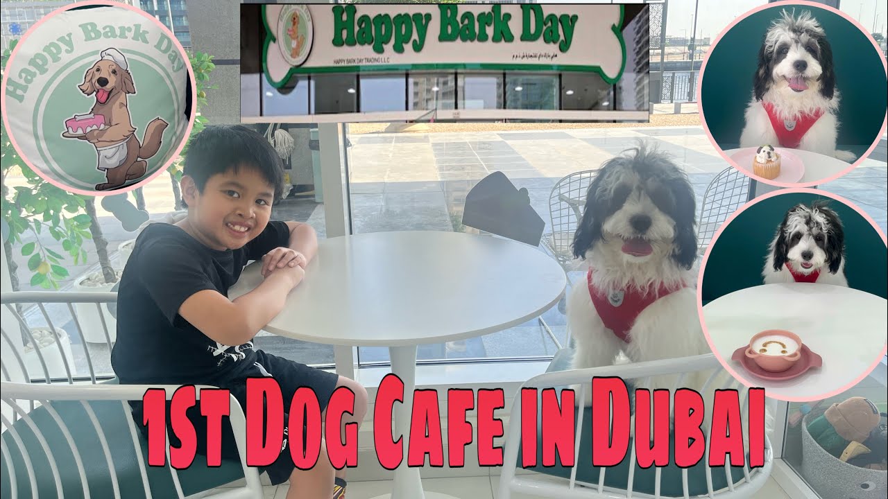 Dubai's first Dog Cafe- Happy Bark Day | pamper your dog| chacha's ...