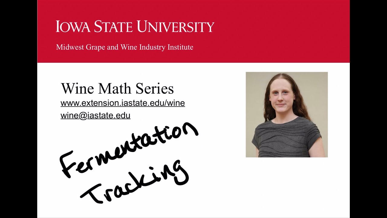 Wine Math: Fermentation Tracking - YouTube
