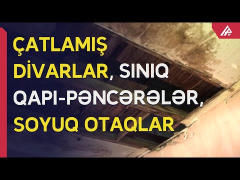 Bu şəhərdə valideynlər uşaqları məktəbə qoymur, dərsə siçanlar gedir