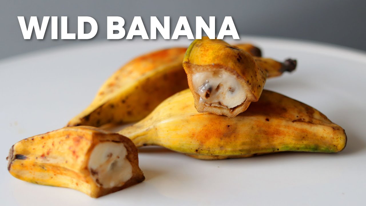 What Does a Wild Banana Taste Like? - YouTube