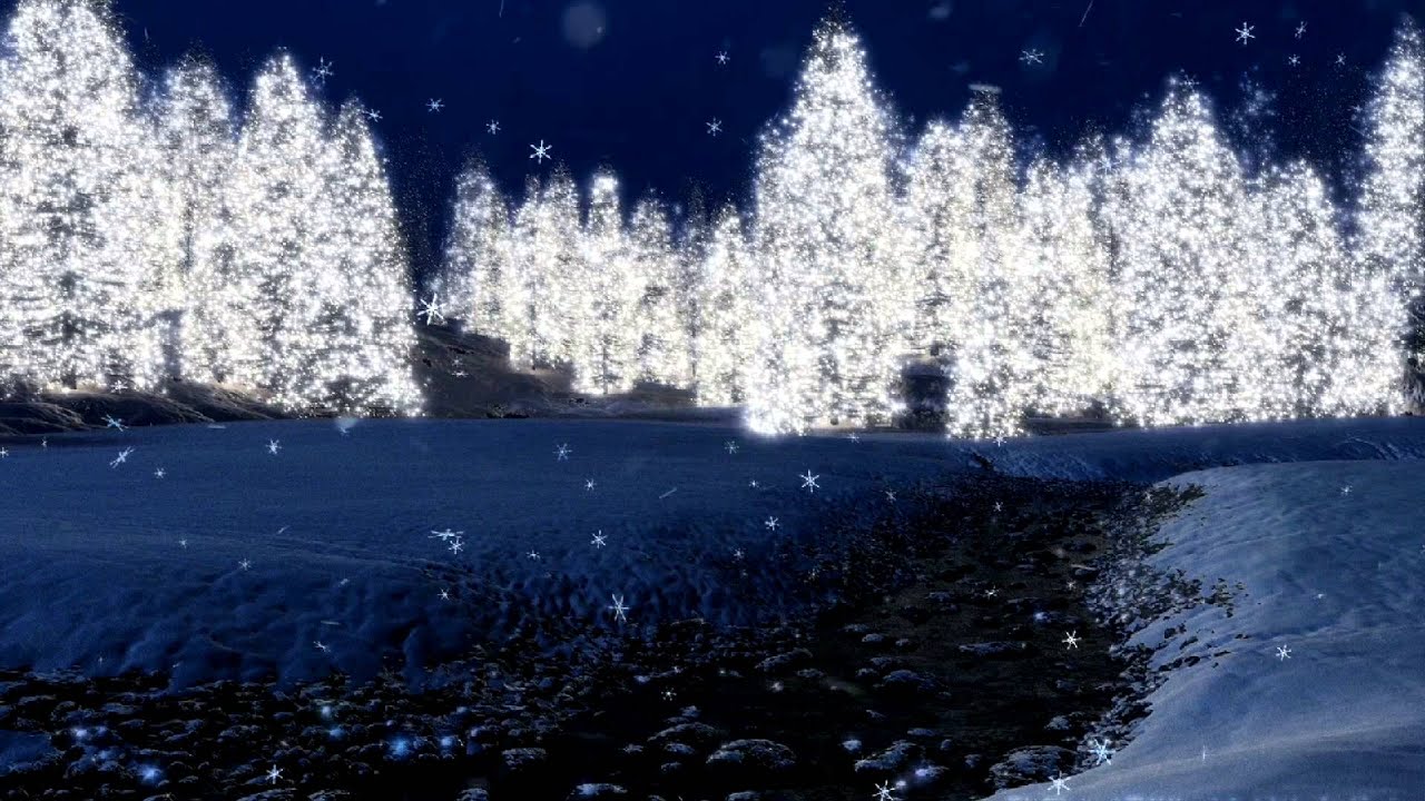 Magical winter forest - YouTube