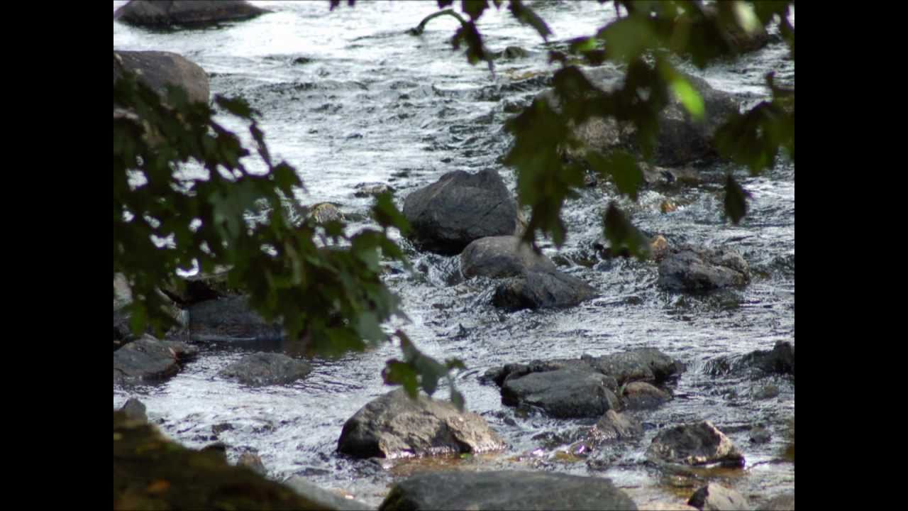 Nature at its best.... New Jersey - YouTube