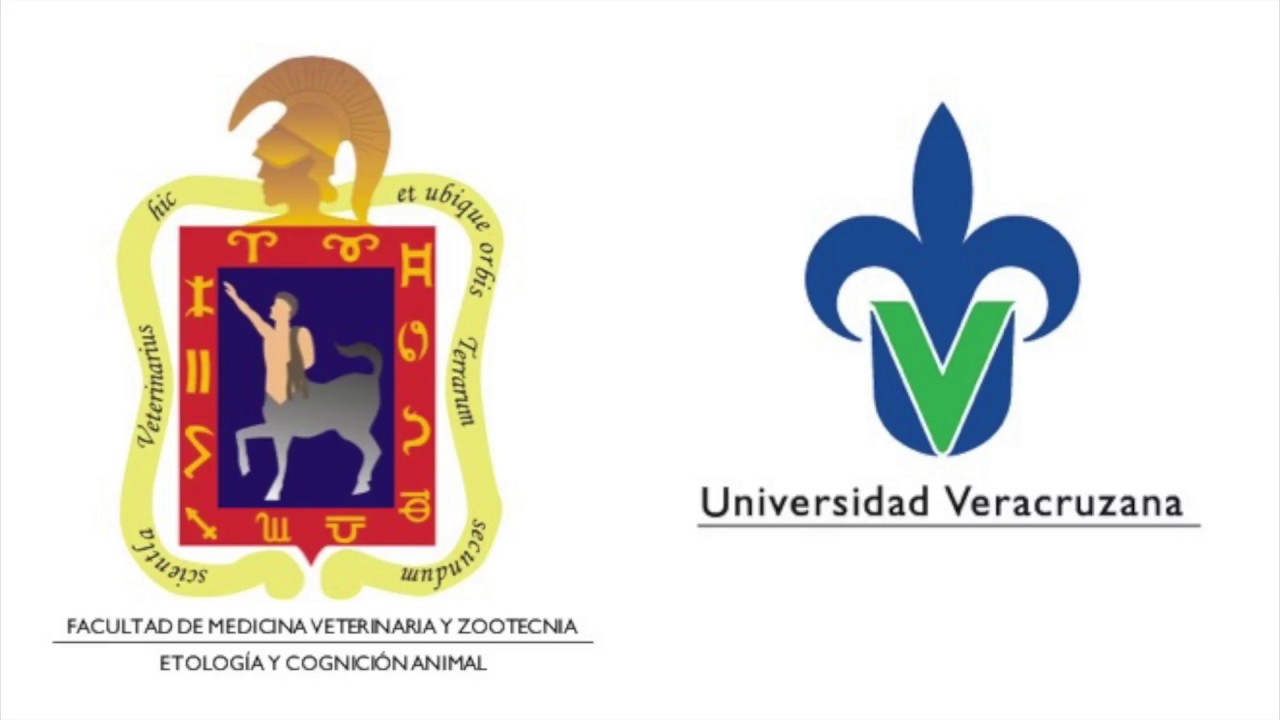Logotipo De Fmvz Uv