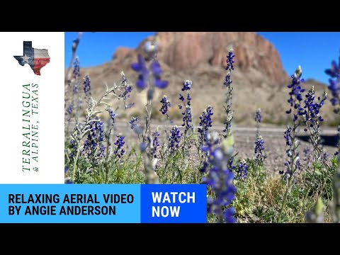 Unforgettable Holiday Adventures: Check Out These Amazing Adverts Now ...