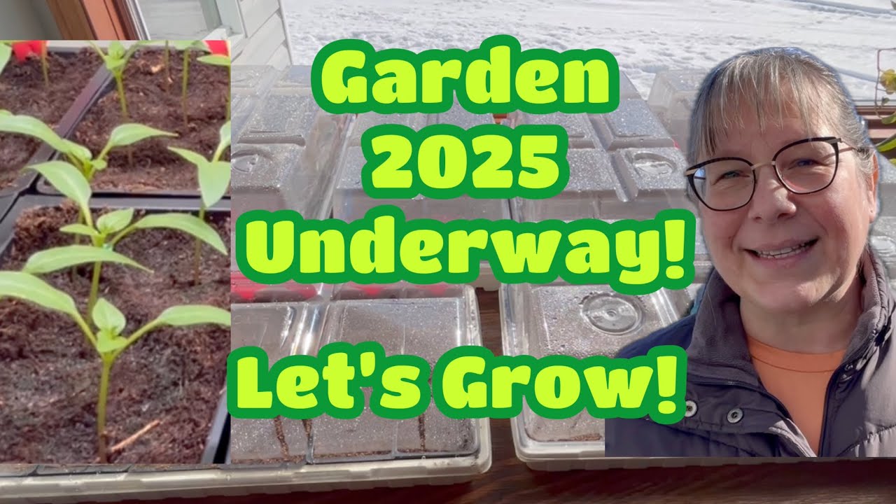Let’s Grow 2025! The 2025 Garden Is Underway! First Garden Update Seeds ...