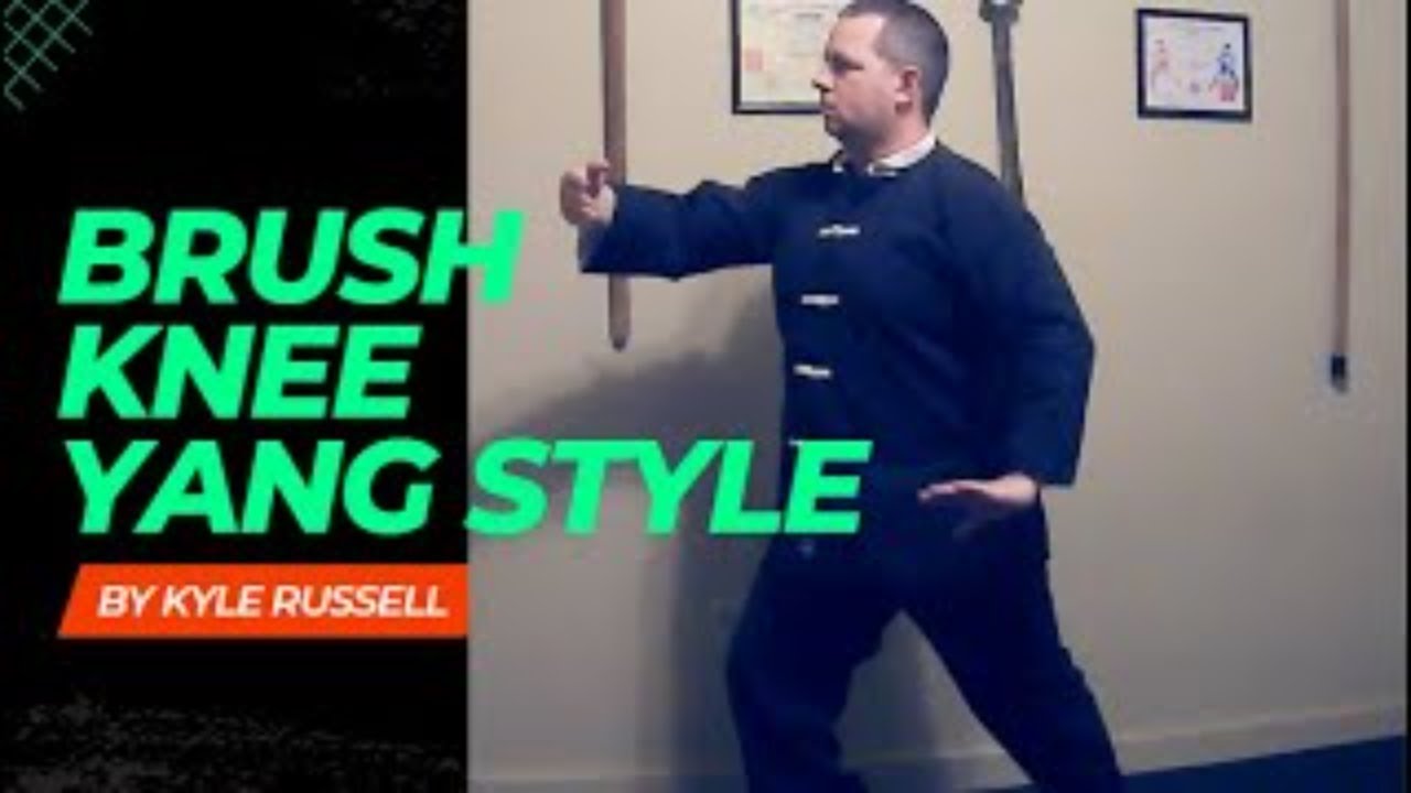 Brush Knee: Yang Style Tai Chi techniques - YouTube