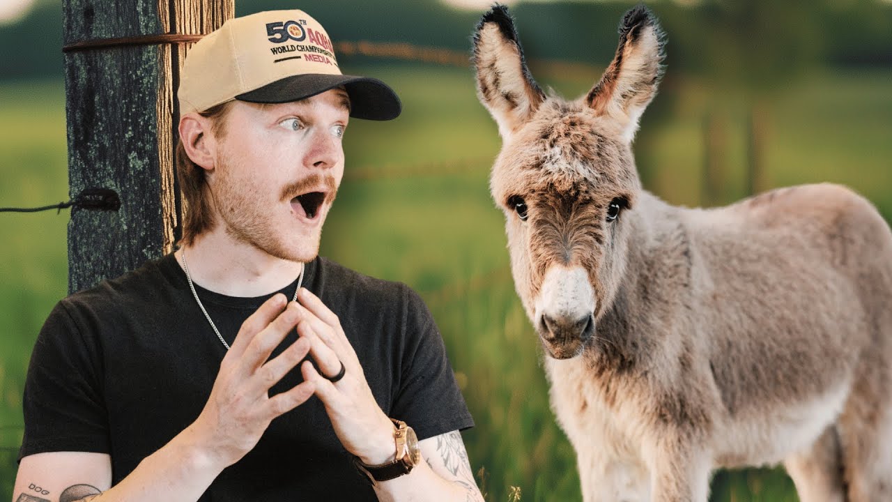 Pico Prep - Mini Donkey Coming, and I Rode A Horse! - YouTube