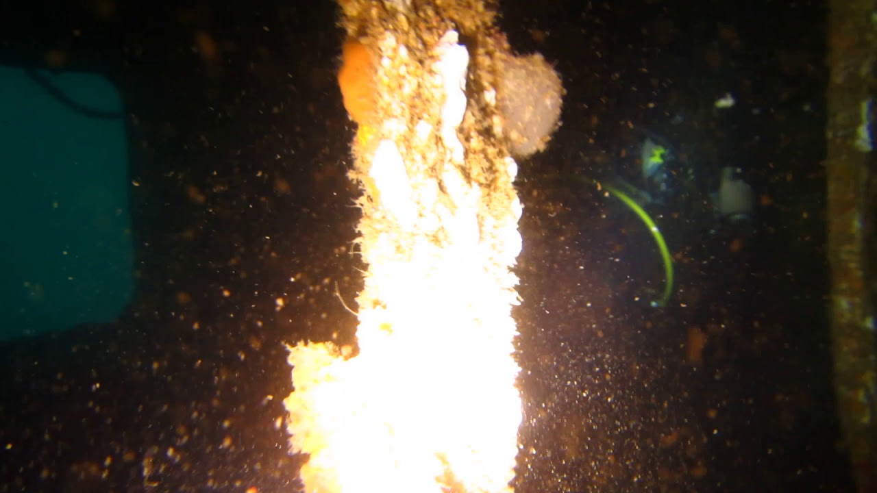 HMAS Swan Dive - YouTube