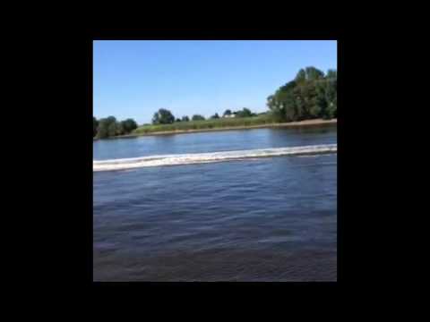 Motorboot Cheetah LSC 2000 auf der Elbe