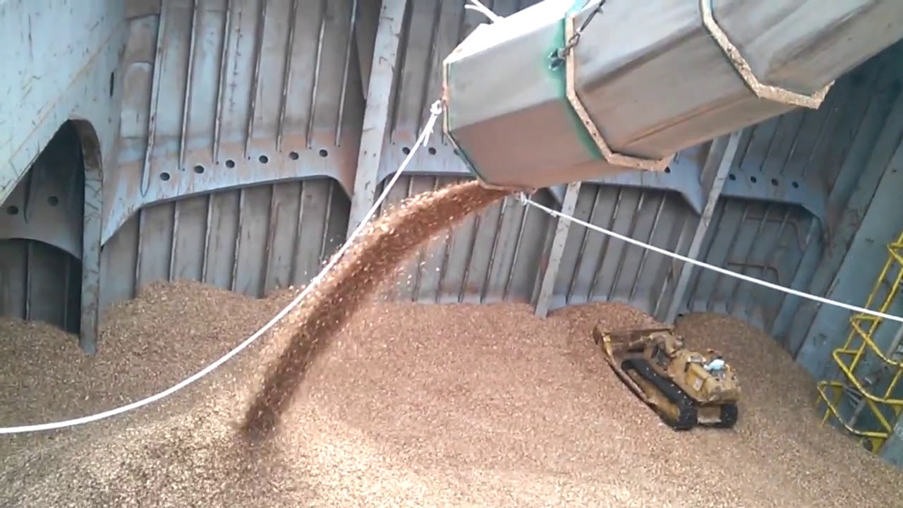 Loading wood chips by shore conveyor at Qui nhon Port - YouTube